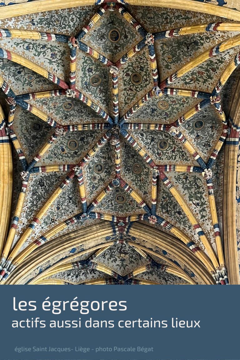 Égrégores, qu'est ce que c'est ? - Plumes de Forêt