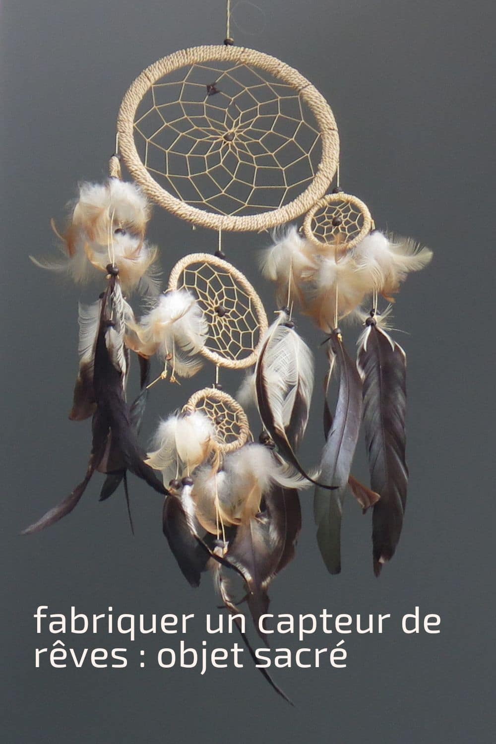 Roue de médecine : le nord - Plumes de Forêt