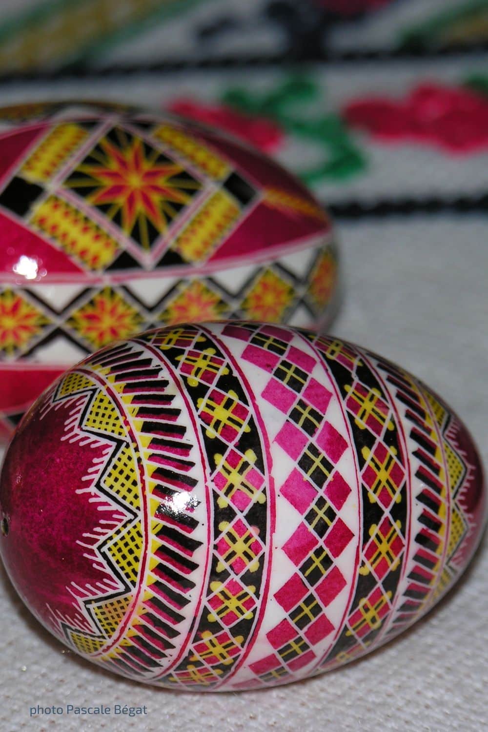 Le symbole de l'oeuf : - Plumes de Forêt