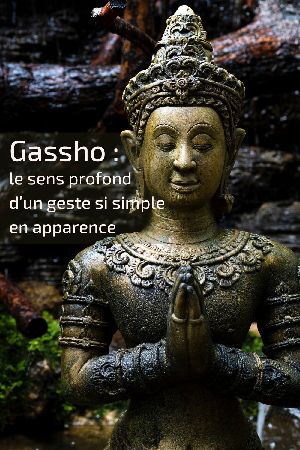 Gassho : un geste si simple et si puissant - Plumes de Forêt